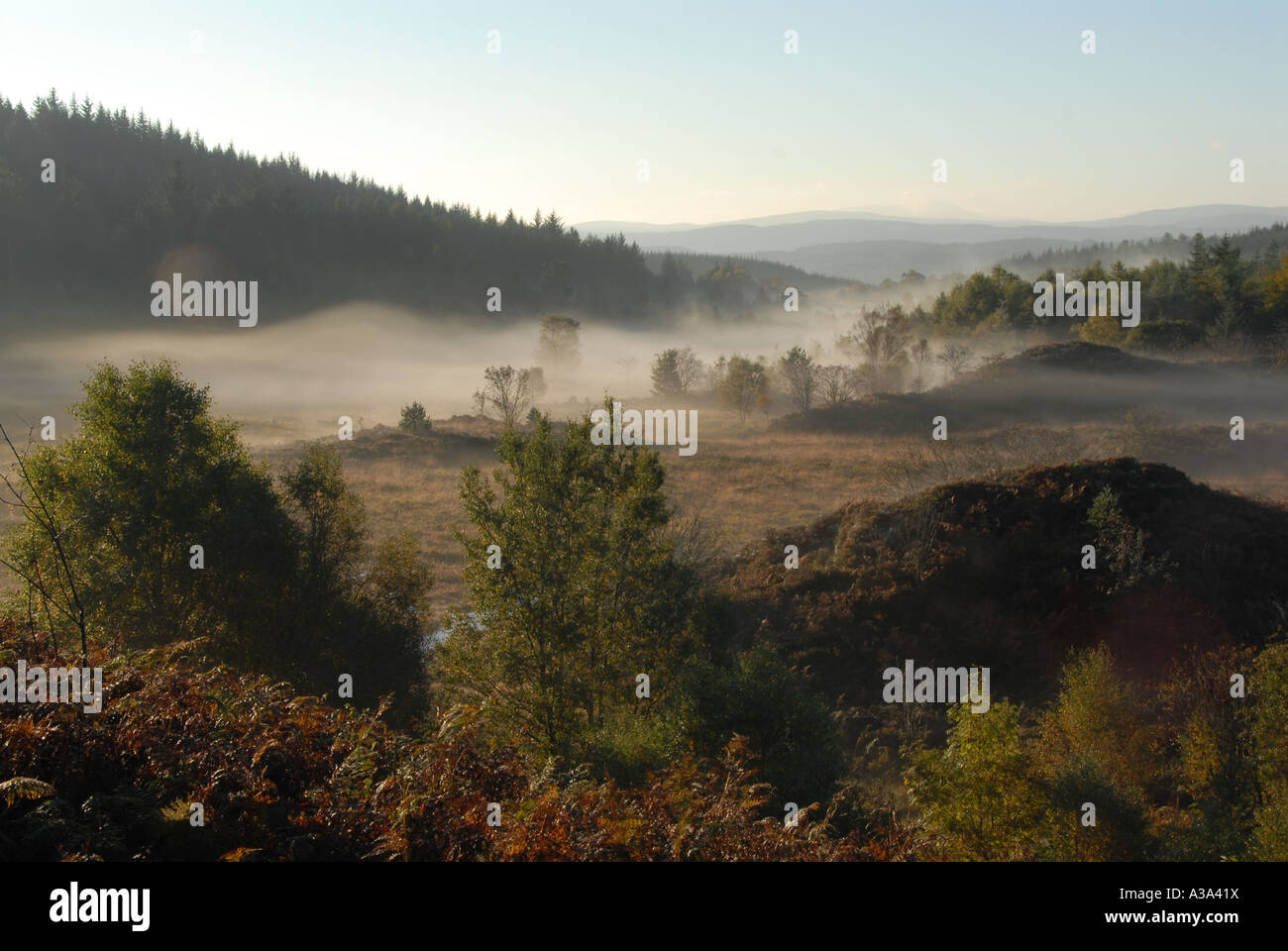 Misty Autumn Sunset Gwydyr Forest Conwy Valley Snowdonia North West ...