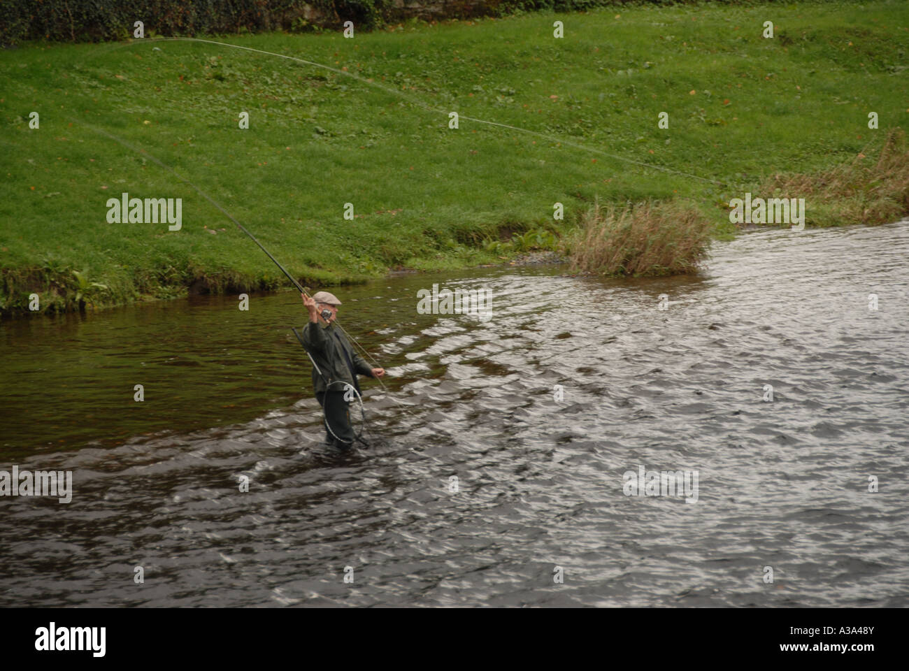 Salmon Fishing in River Conwy Llanrwst Snowdonia North West Wales Stock ...