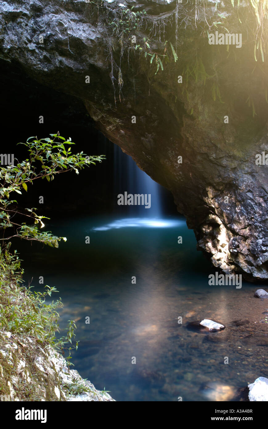 waterfall at natural bridge in springbrook national park along the gold ...