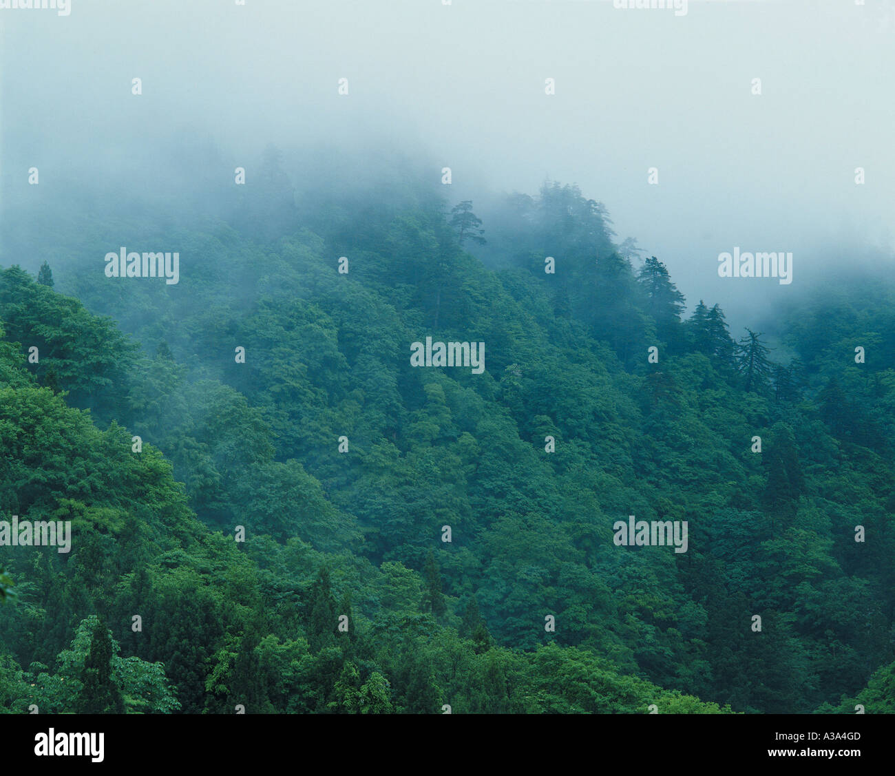 Outdoor exterior day daytime daylight nature scene scenery landscape hi ...