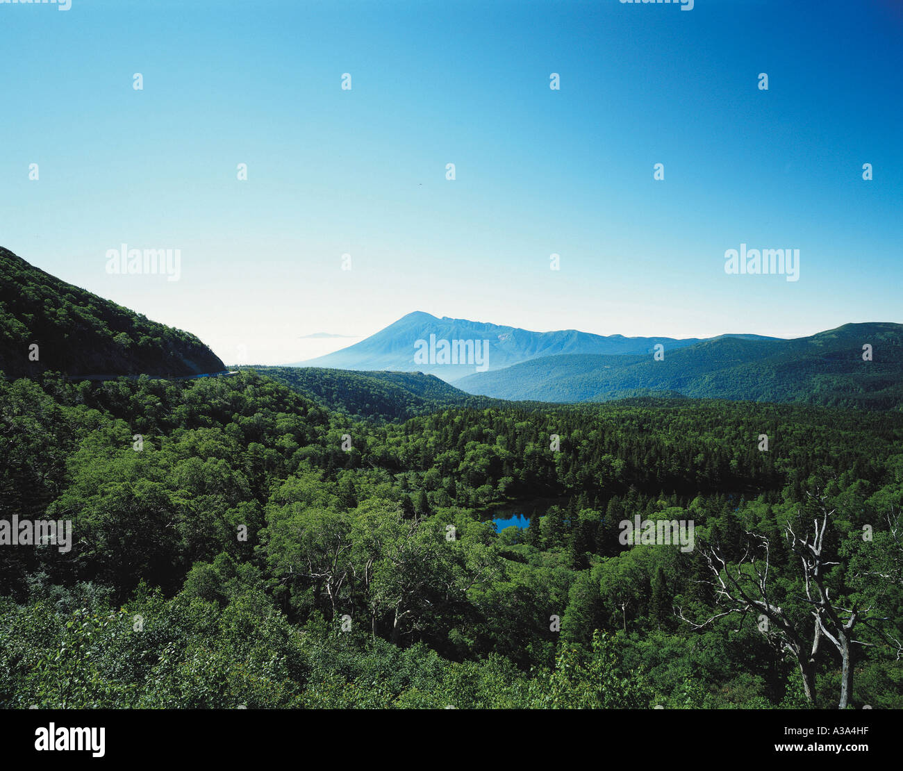 Outdoor exterior day daytime daylight mountain tree forest trees hi-res ...