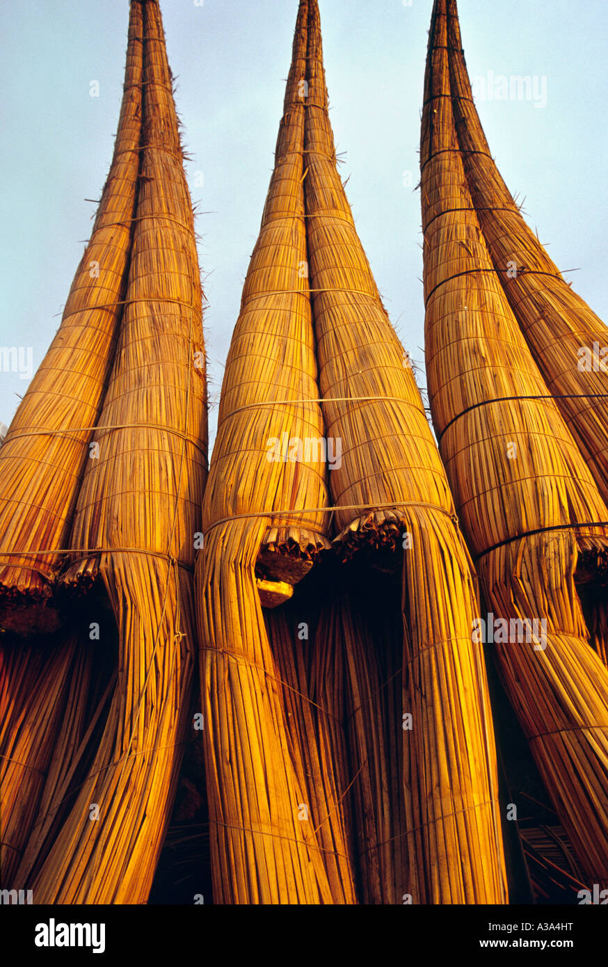 Totora boats - Huanchaco, La Libertad PERU Stock Photo - Alamy
