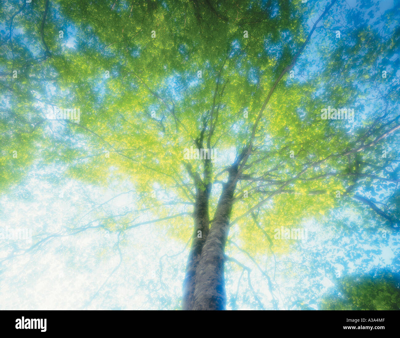 Sunlightlight hi-res stock photography and images - Alamy