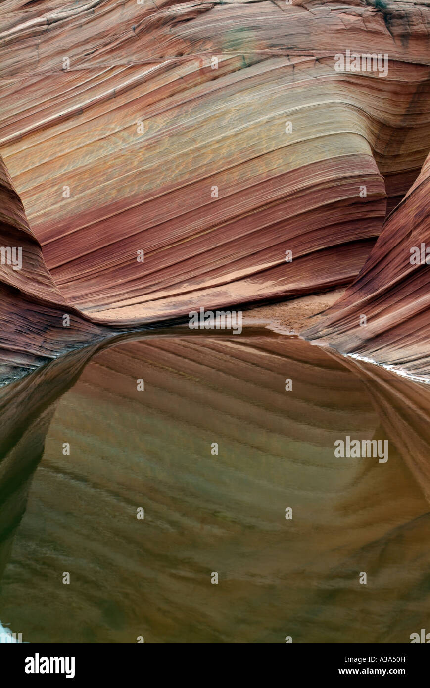 Rock formation known as the wave located in the North Coyote Buttes ...