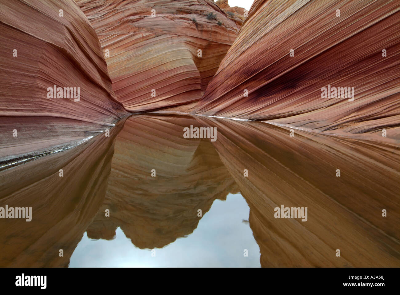 Reflection of the rock formation known as the wave North Coyote Buttes ...