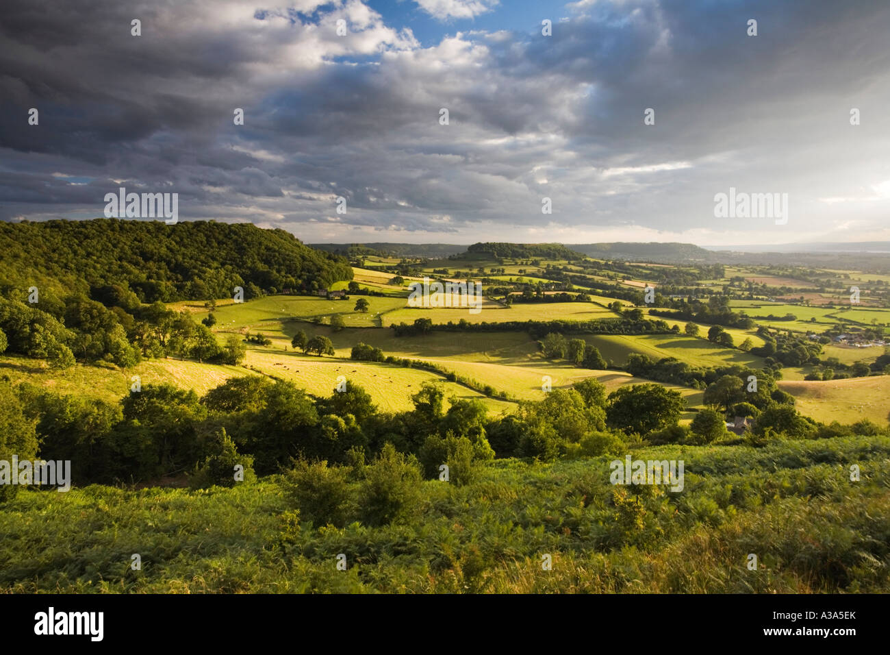 View towards Cam Long Down from Coaley Peak on the Cotswold Way ...