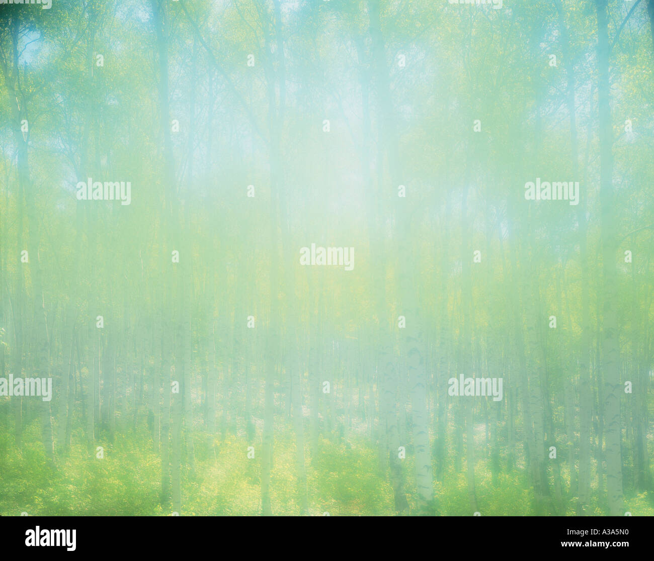 Outdoor exterior day daytime daylight nature scene scenery landscape ...