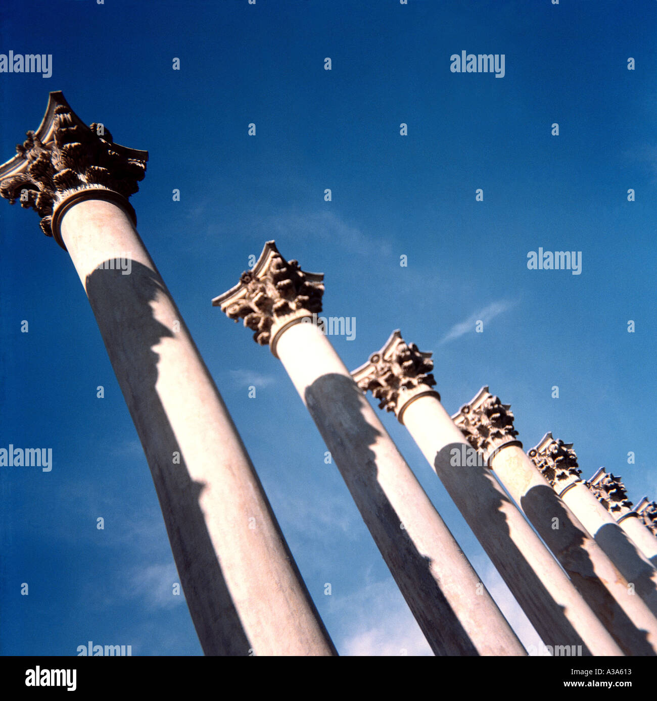 Columns National Arboretum Washington DC USA Stock Photo - Alamy