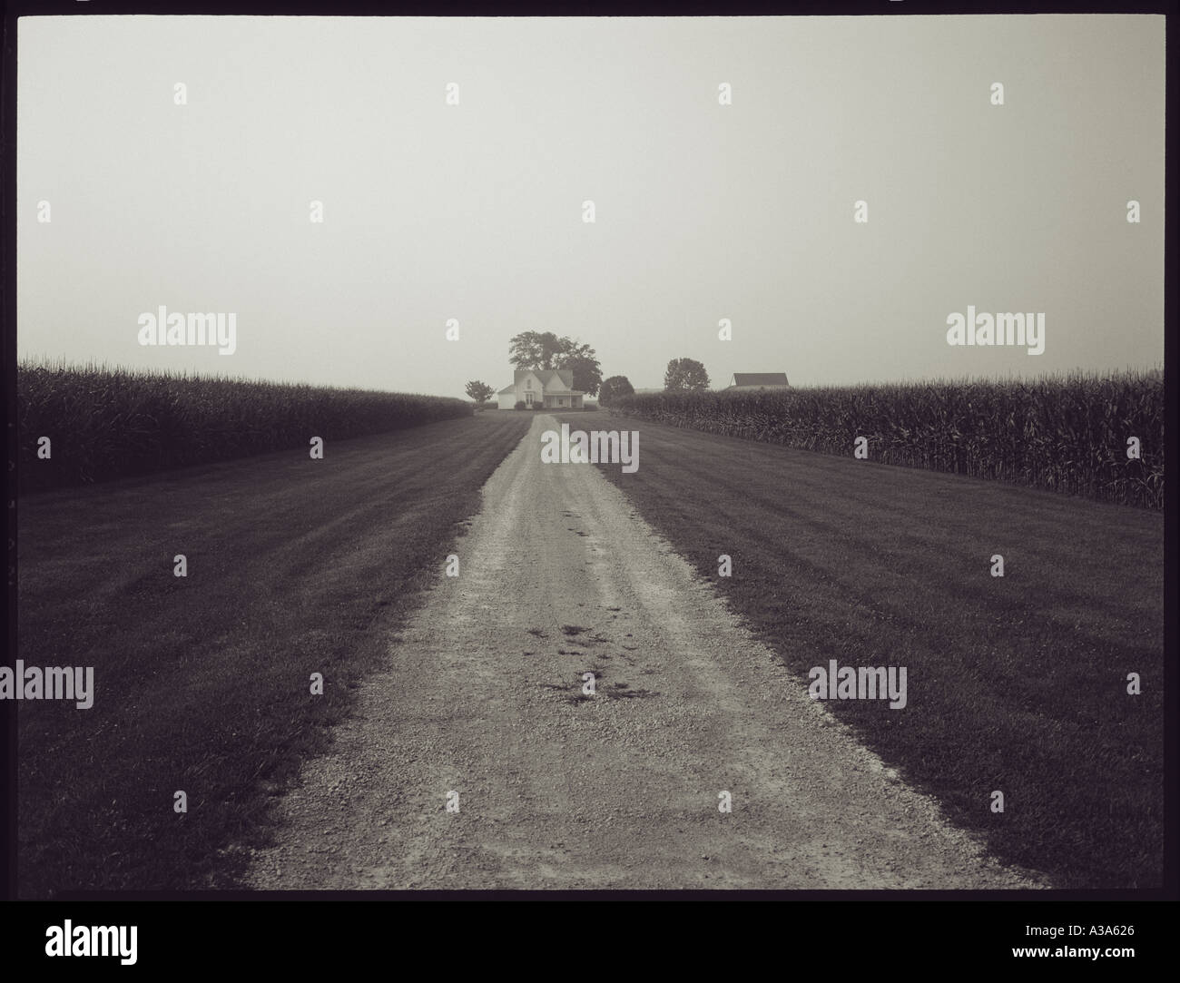 Farm House and Corn Field Stock Photo - Alamy