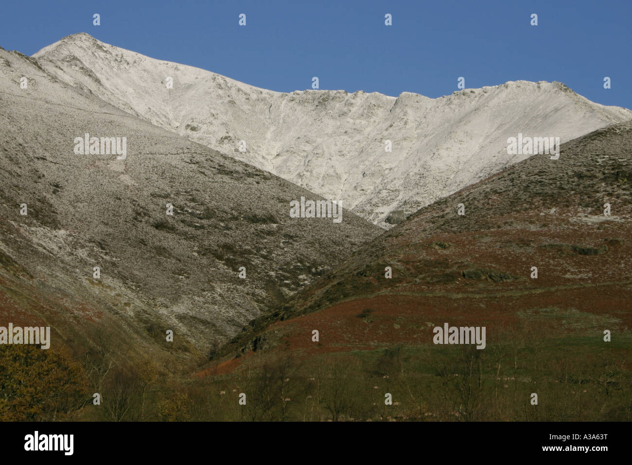 Looking up Doddick Gill to Blencathra's summit, Lake District, Cumbria ...