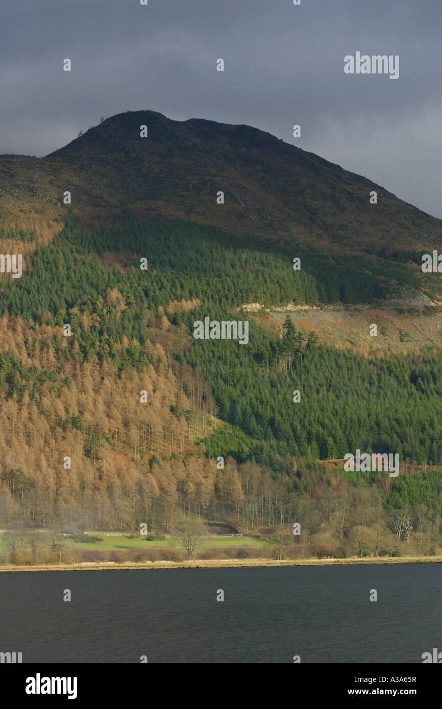 The Dodd above Bassenthwaite Lake, Lake District, Cumbria Stock Photo ...