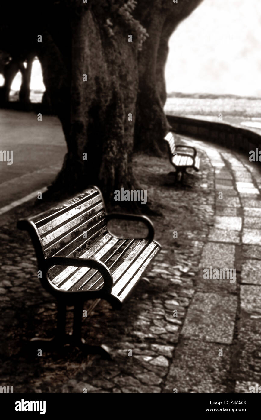 Bench on Walkway Stock Photo - Alamy