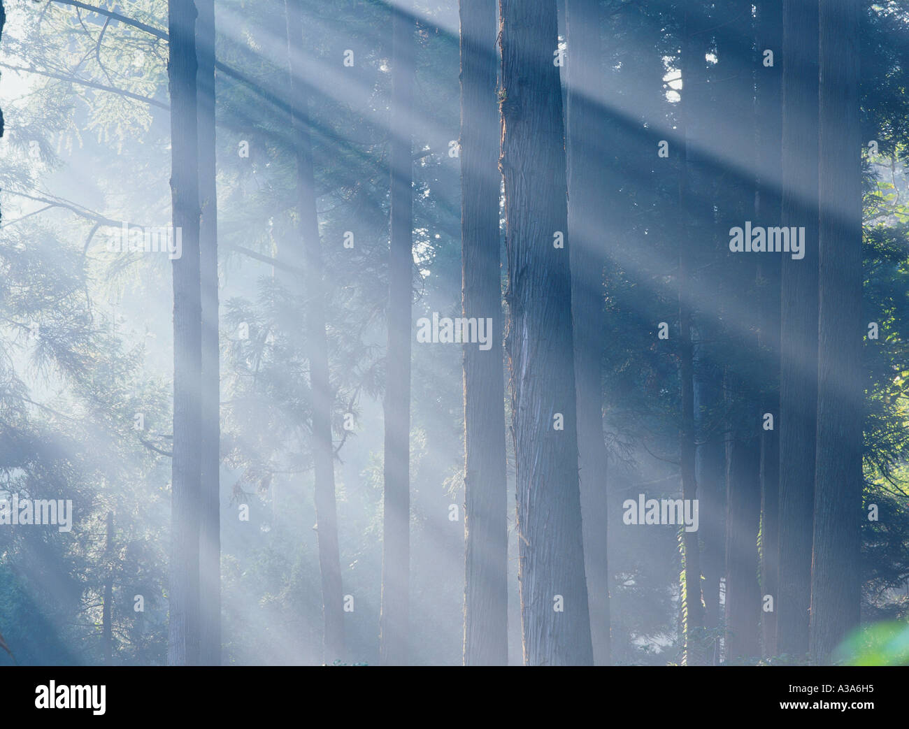 Outdoor exterior day daytime daylight nature scene scenery landscape ...