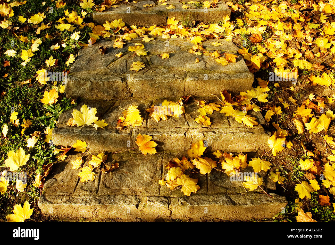 Lambro park milan italy hi-res stock photography and images - Alamy