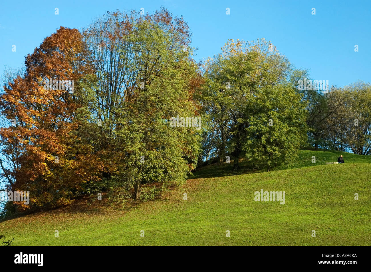Parco lambro in milan green park - milan milano - region of lombardia ...