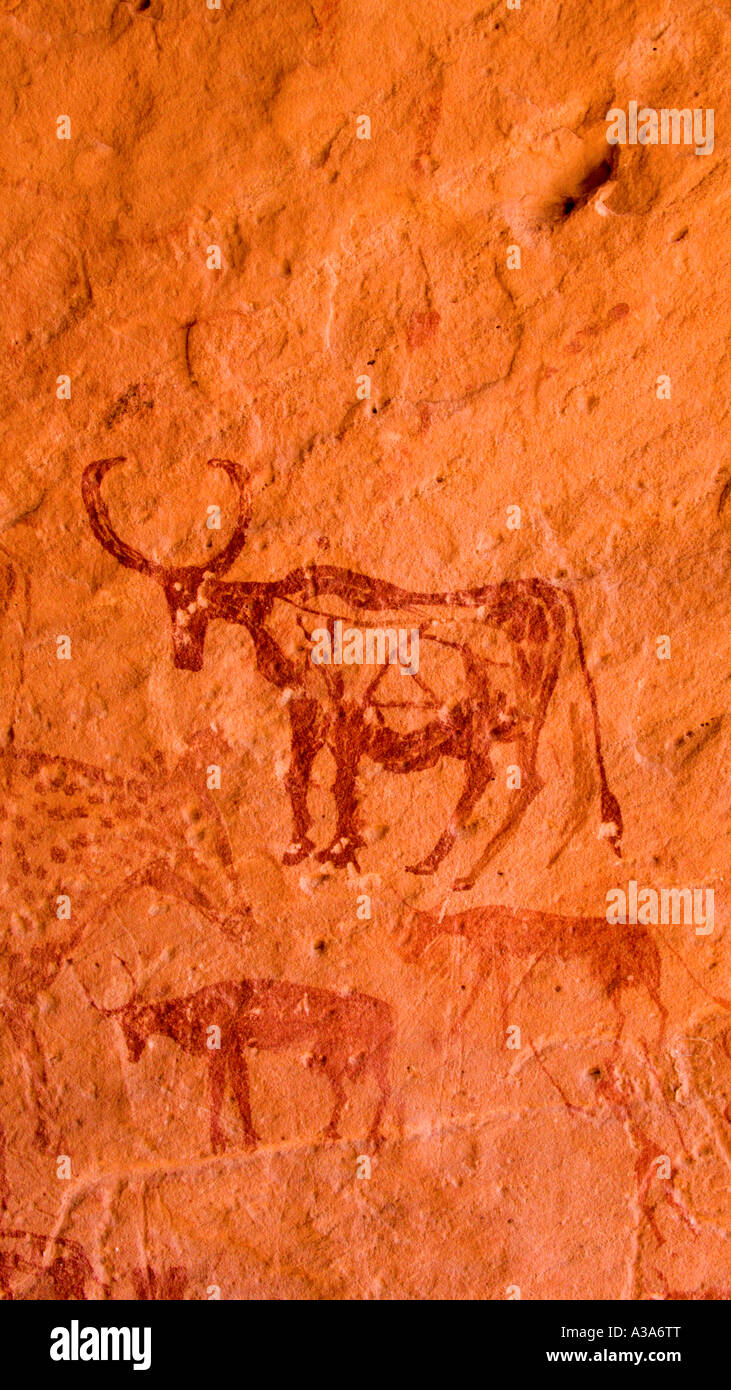 Painted domestic cows rock art in the Akakus Mountains Sahara Desert ...