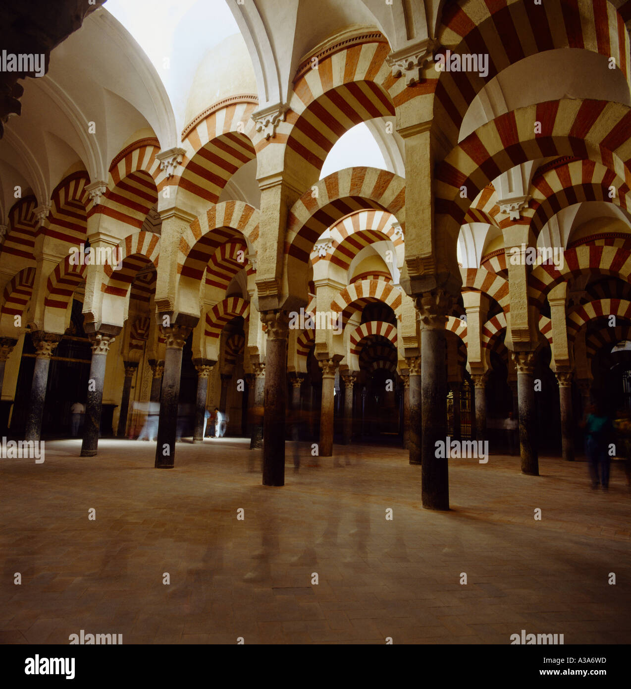 Great mosque of cordoba prayer hall hi-res stock photography and images ...