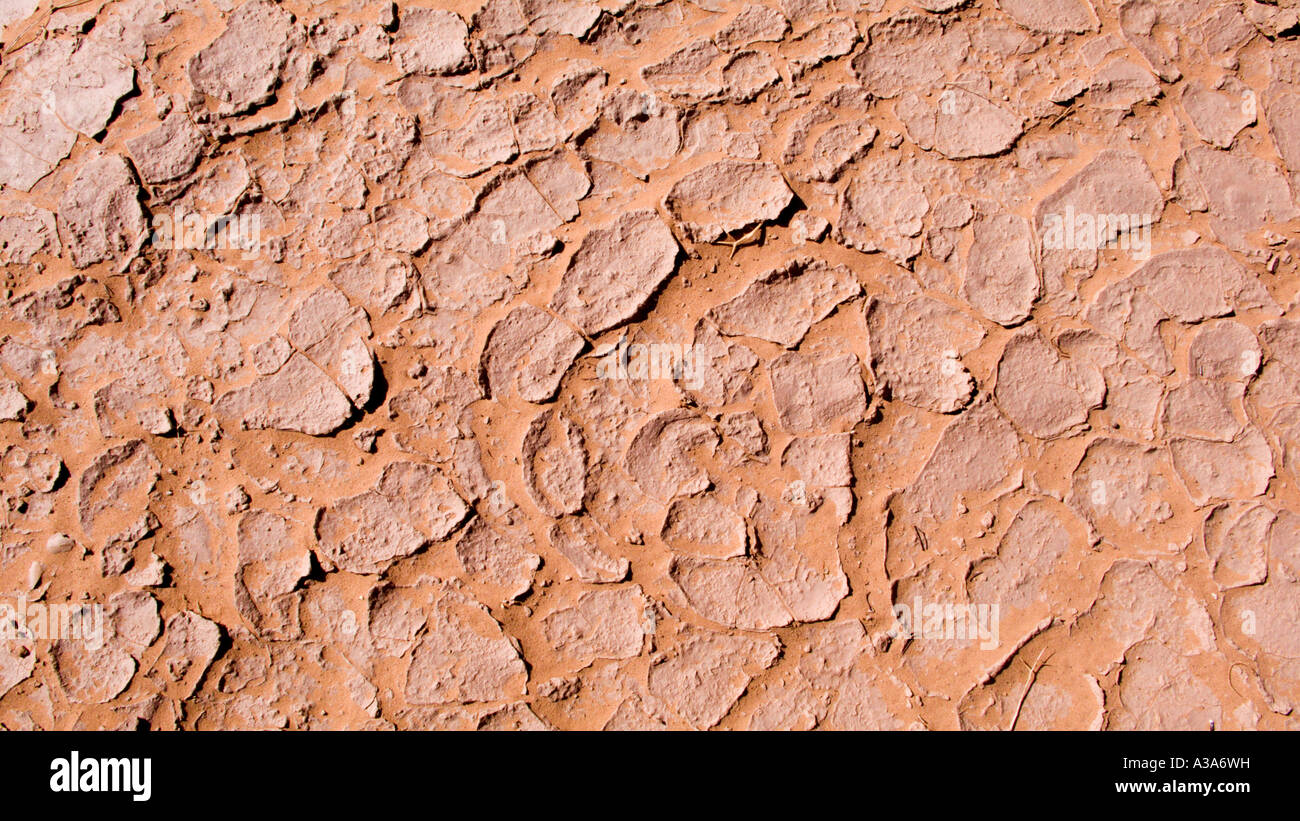Dry cracked sand in the Sahara Desert Libya Stock Photo - Alamy