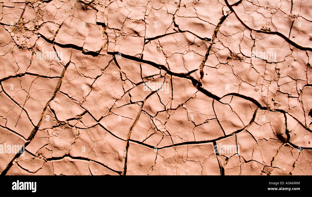 Dry cracked sand in the Sahara Desert Libya Stock Photo - Alamy