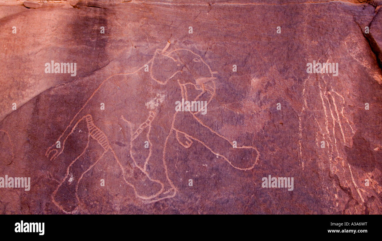 Engraved elephant image in the Acacus Mountains Sahara Desert Libya ...
