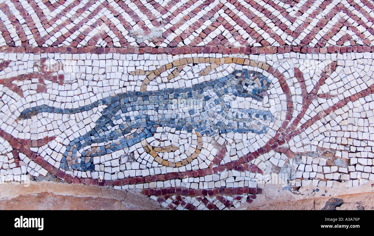 Roman mosaic leopard hi-res stock photography and images - Alamy