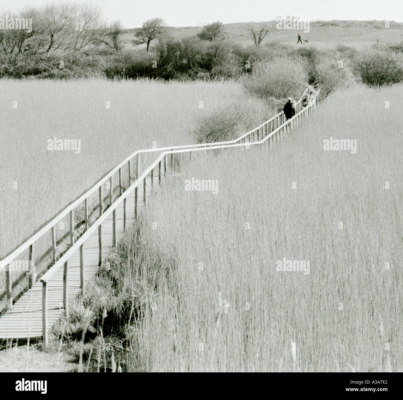 Footpath leading to golf links course Stock Photo - Alamy