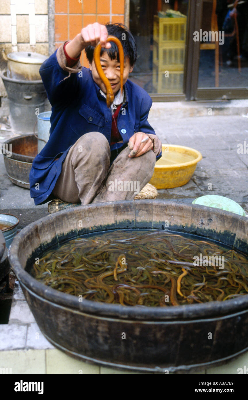 Boy with bucket of eels in Chongqing Market China Stock Photo - Alamy