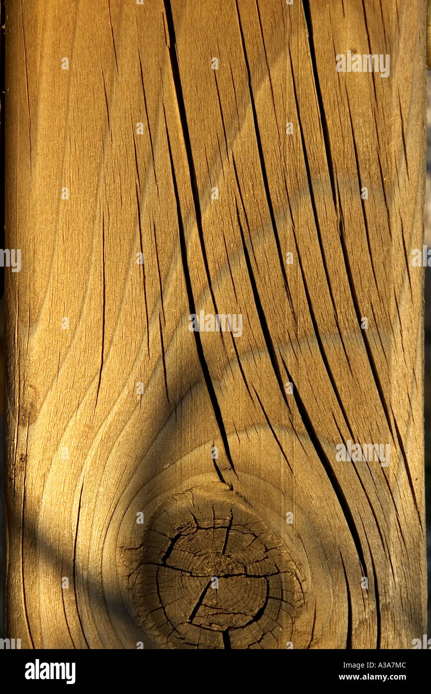 Wood fissures hi-res stock photography and images - Alamy
