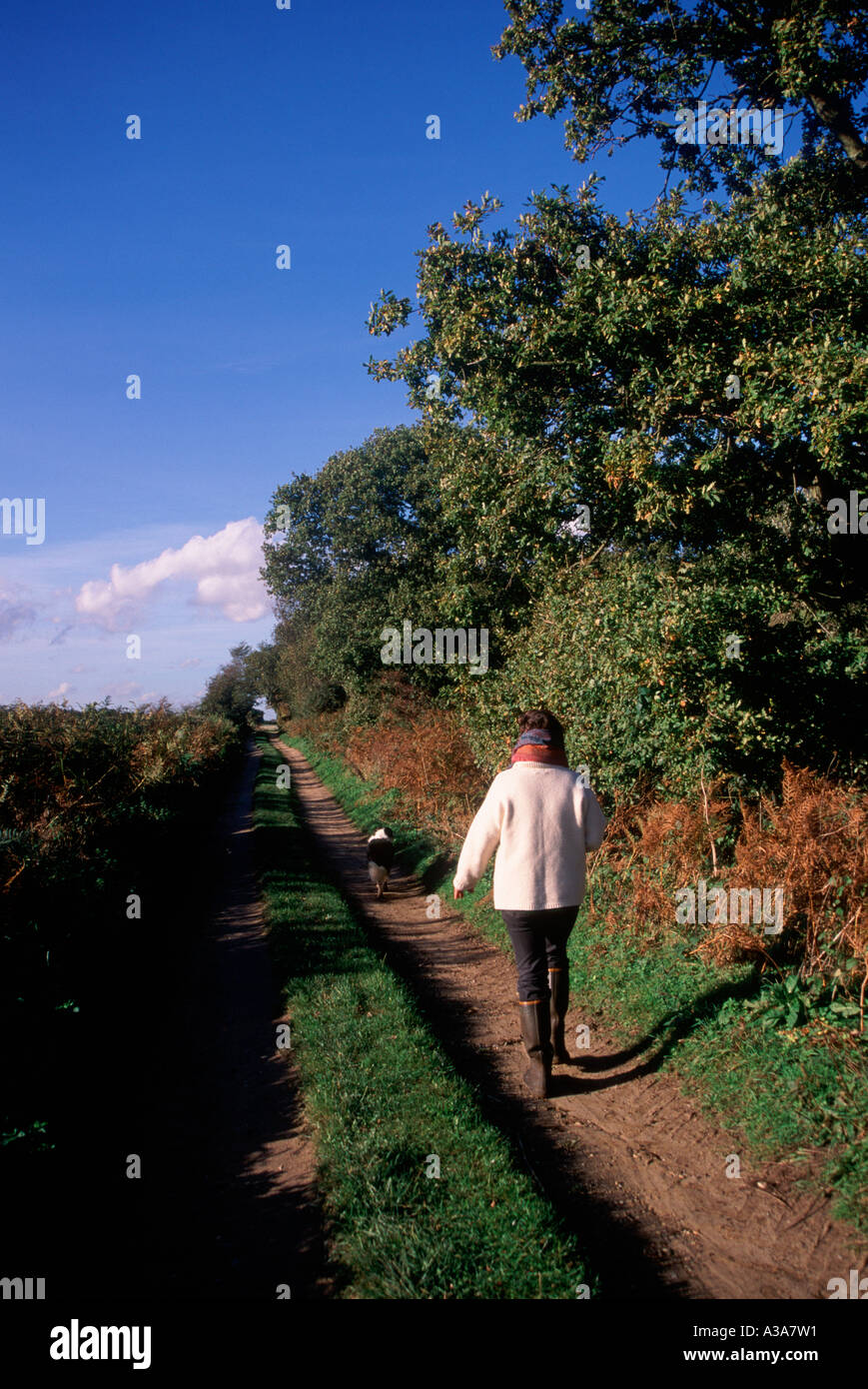 Walking dog country lane hi-res stock photography and images - Alamy