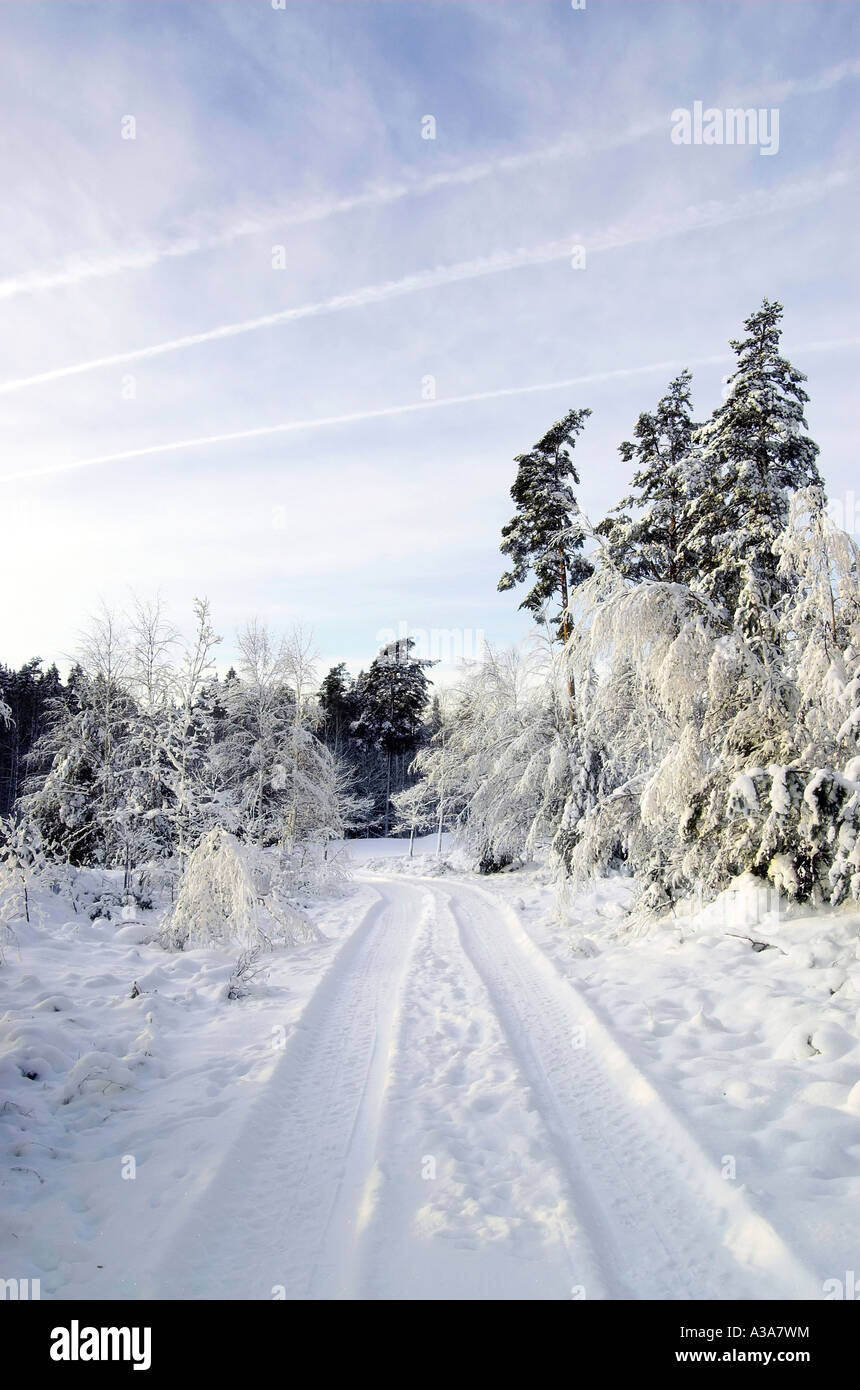 Rural winter road tracks in snow Stock Photo - Alamy