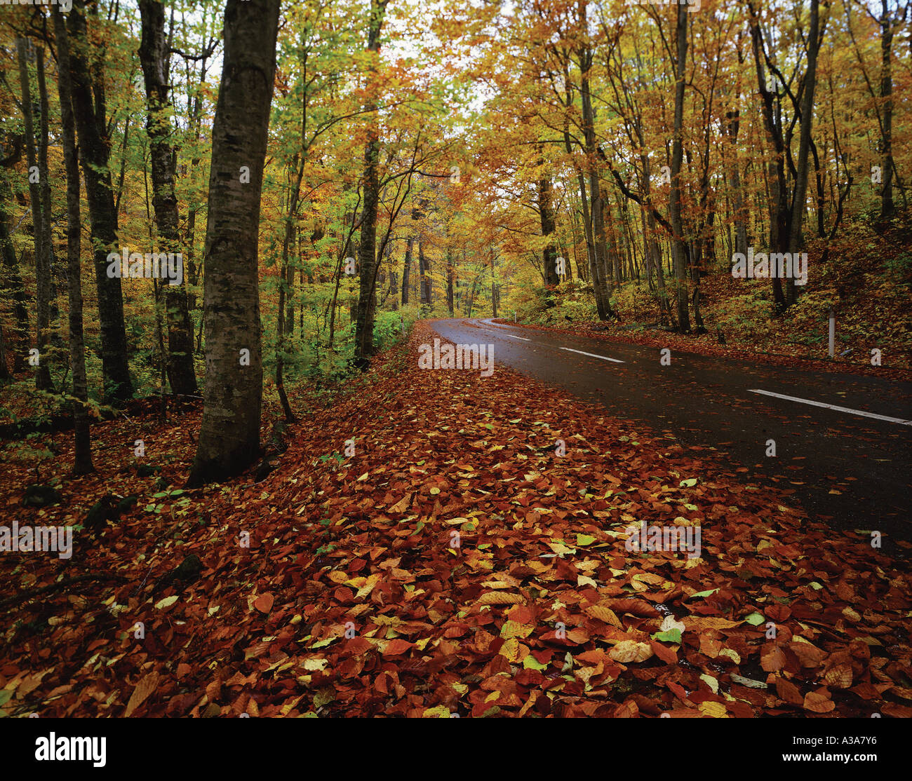 Cheju Island,Cheju,Bum island,isle Stock Photo - Alamy