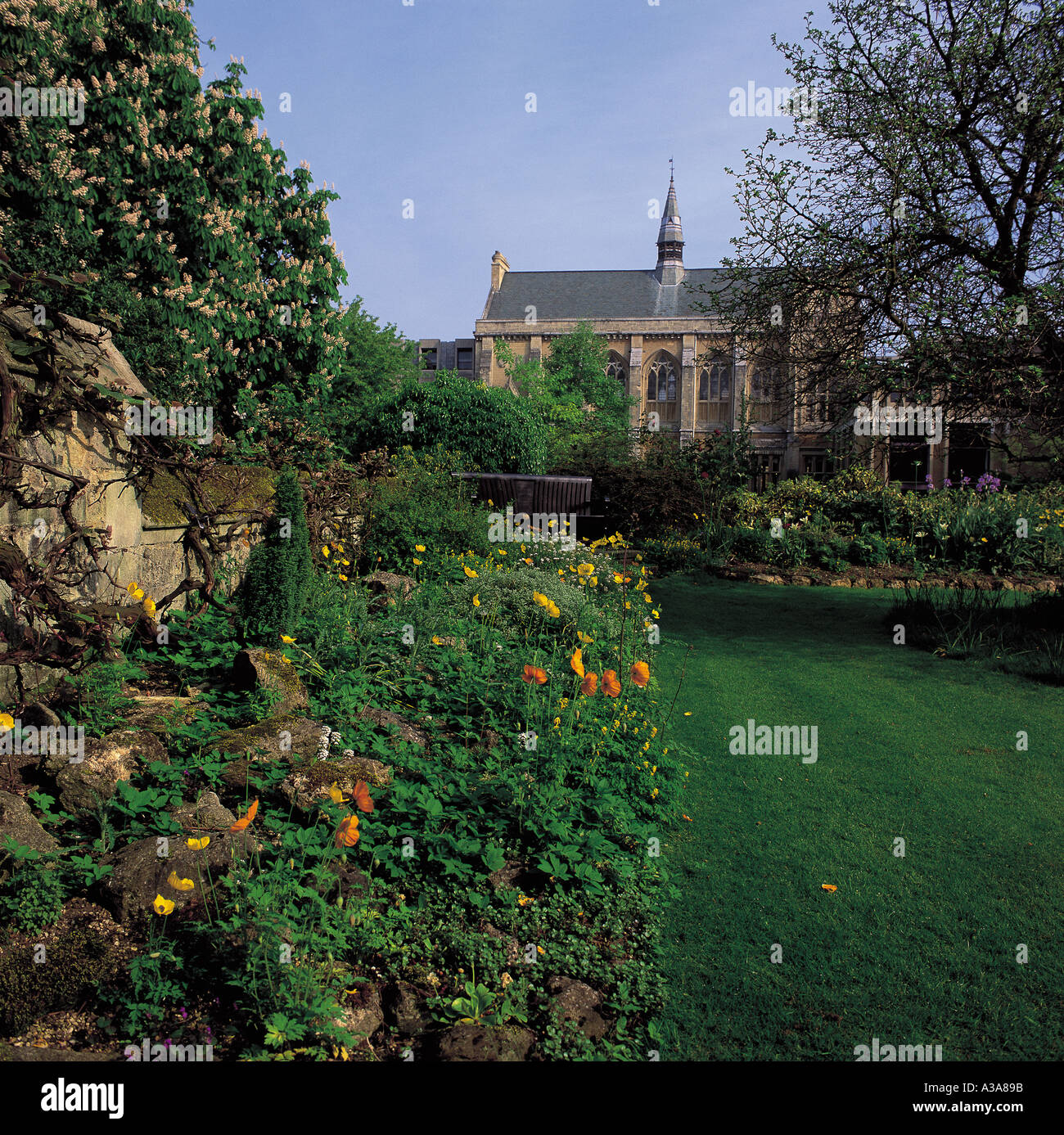 Balliol college hall hi-res stock photography and images - Alamy