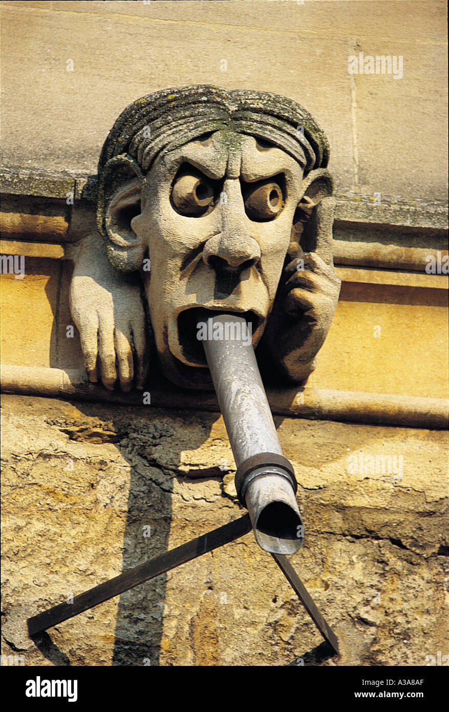 Gargoyle stone carved head grotesque Stock Photo - Alamy