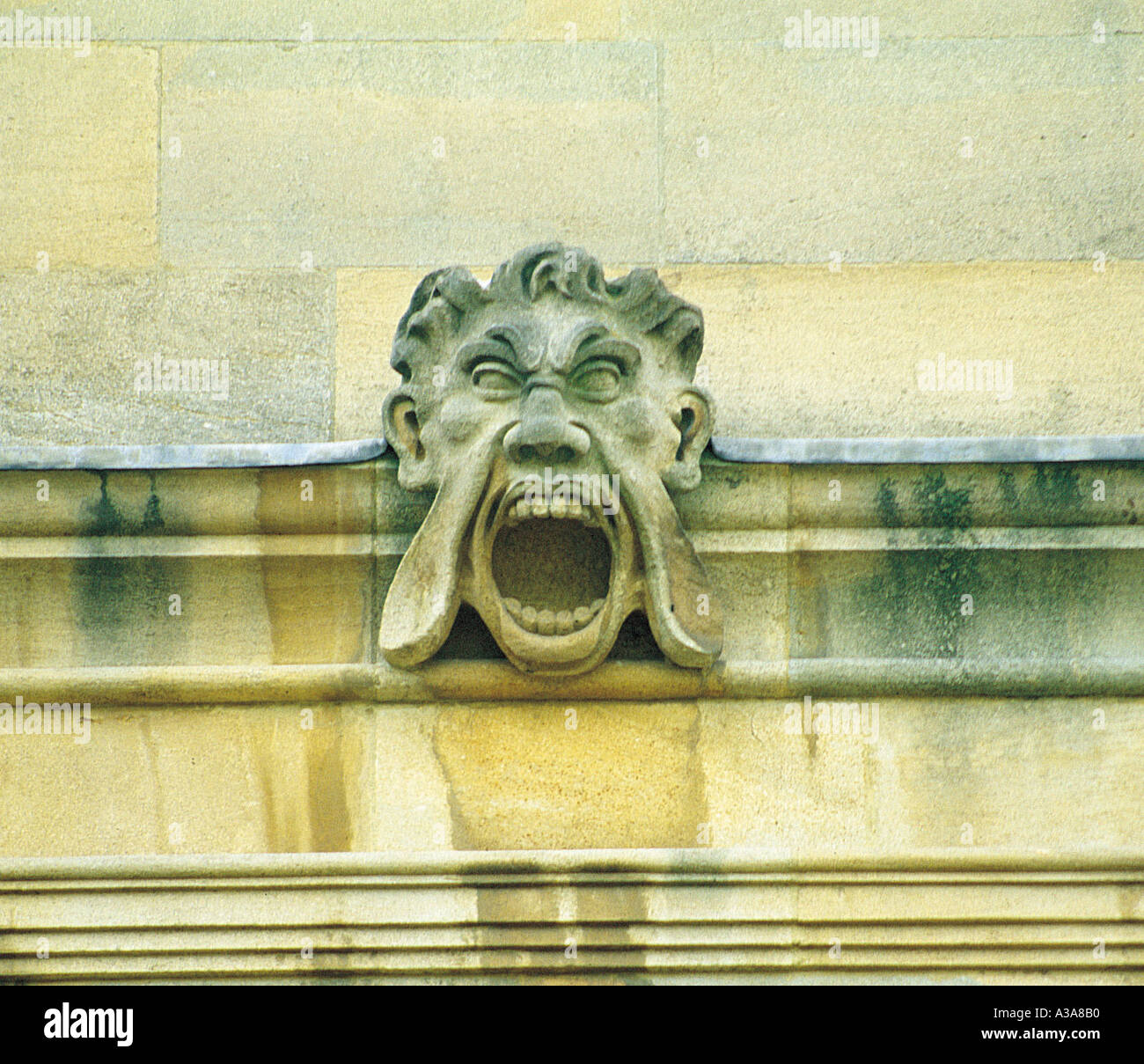 Gargoyle stone carved head grotesque Stock Photo - Alamy