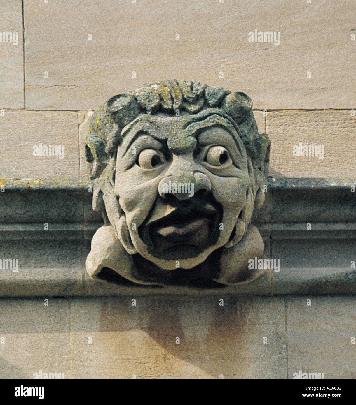 Gargoyle stone carved head grotesque Stock Photo - Alamy