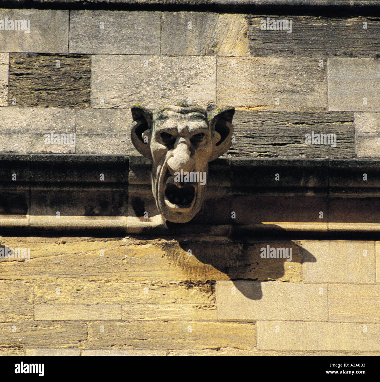 Grotesque aesthetic hi-res stock photography and images - Alamy