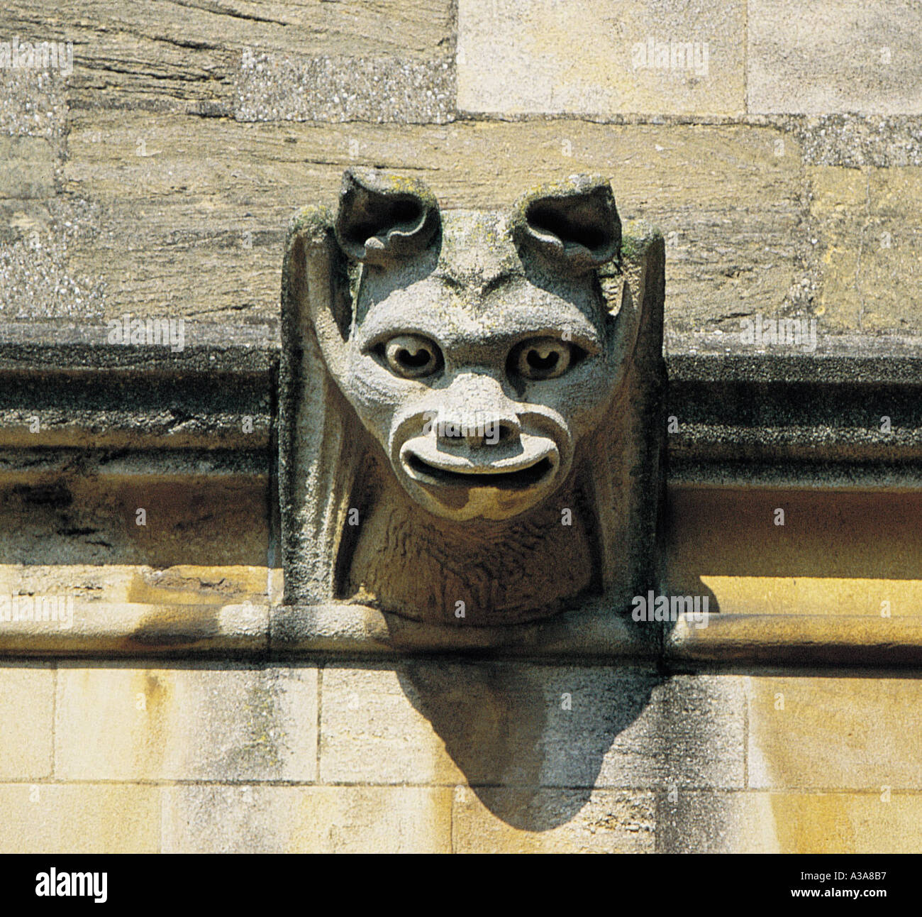 Gargoyle stone carved head grotesque Stock Photo - Alamy