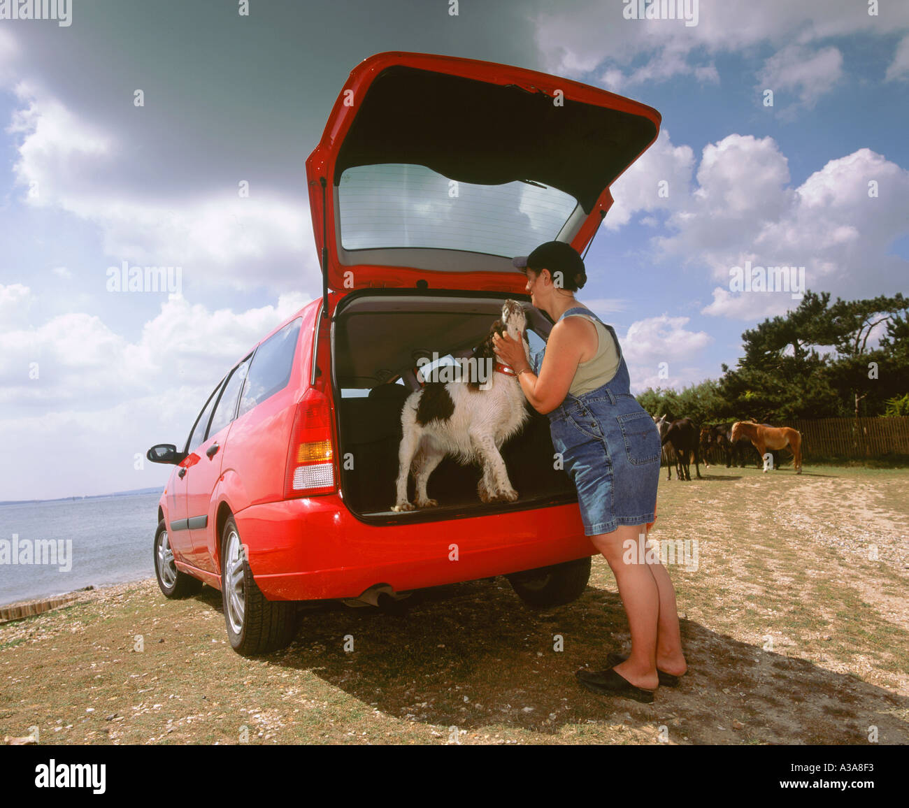 Lady dog hi-res stock photography and images - Alamy
