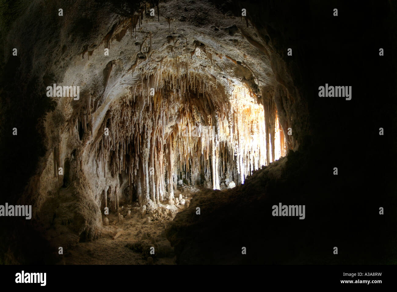 Carlsbad Caverns small room Stock Photo - Alamy