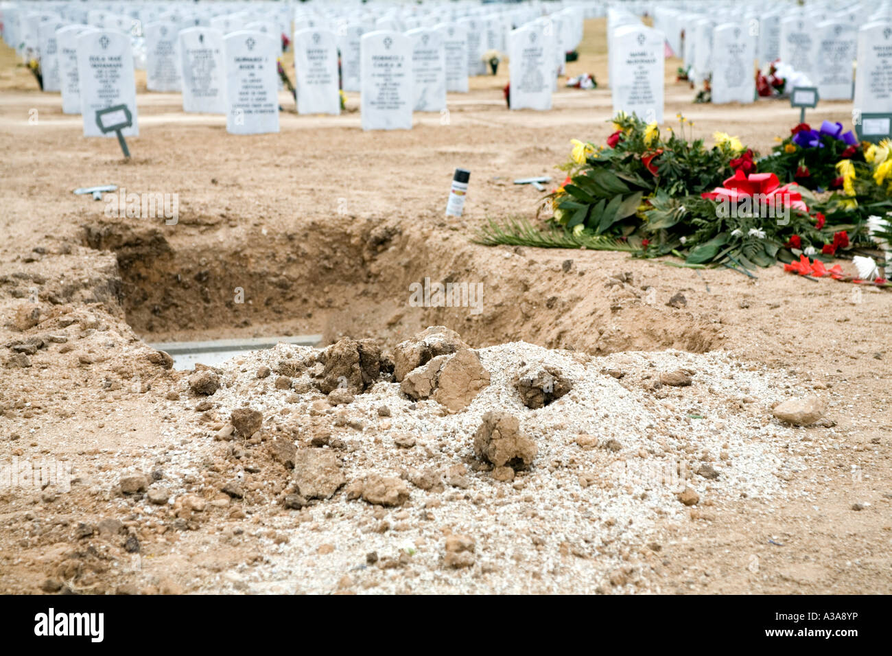 Last weeks Hero VA Cemetery open grave Stock Photo - Alamy