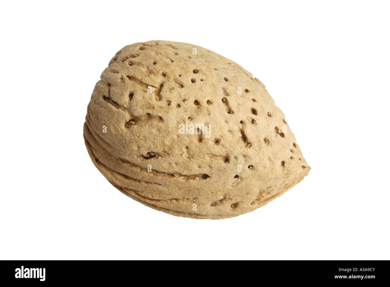 Single almond nut shell hi-res stock photography and images - Alamy