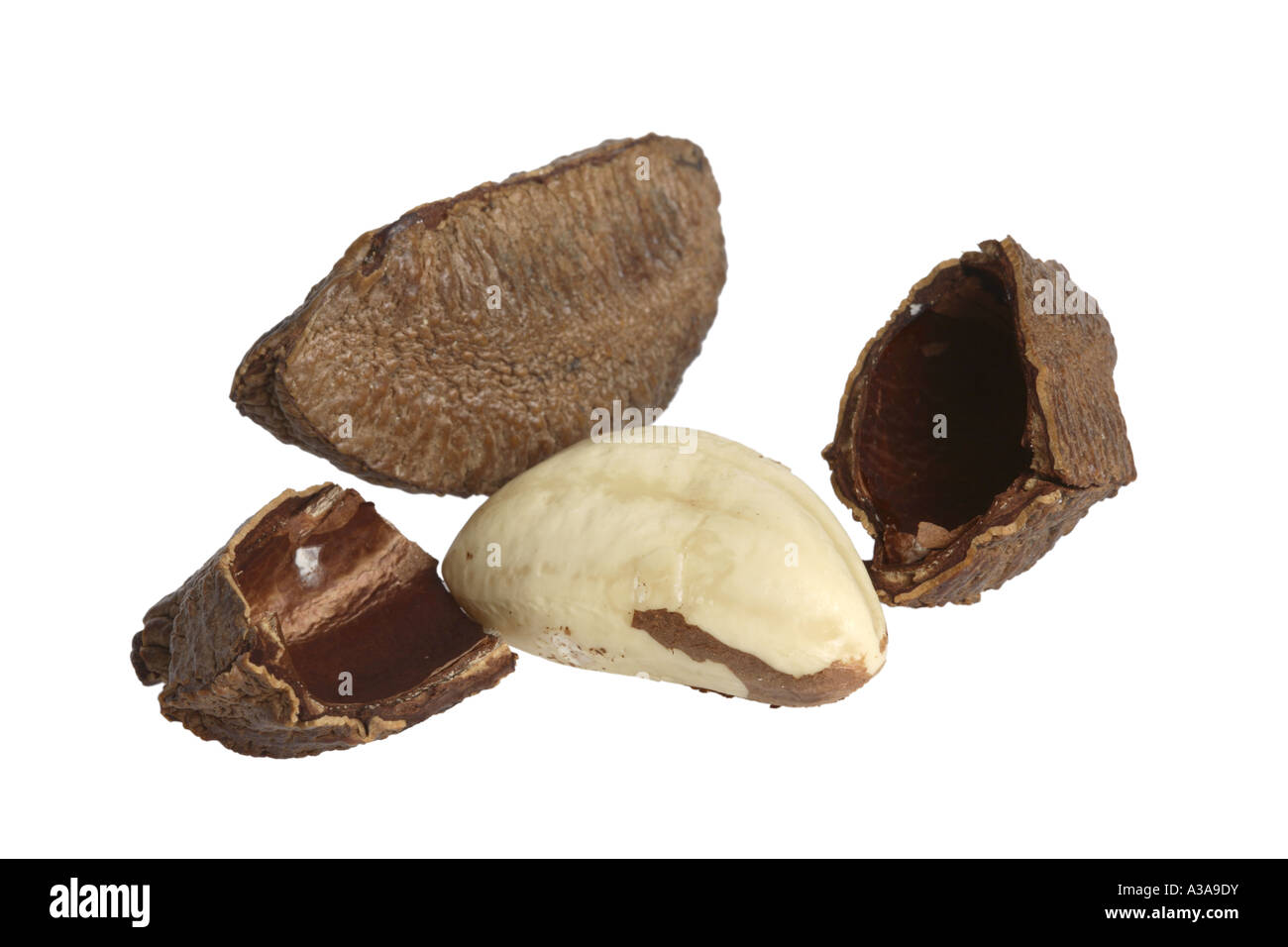 Brazil Nuts; Whole and Shelled Stock Photo - Alamy