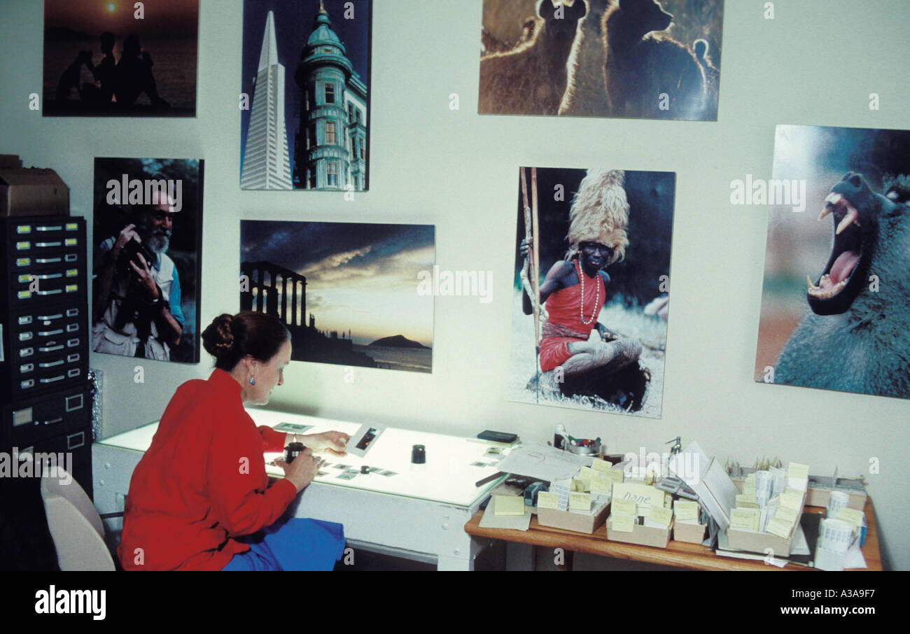 Ann purcell hi-res stock photography and images - Alamy