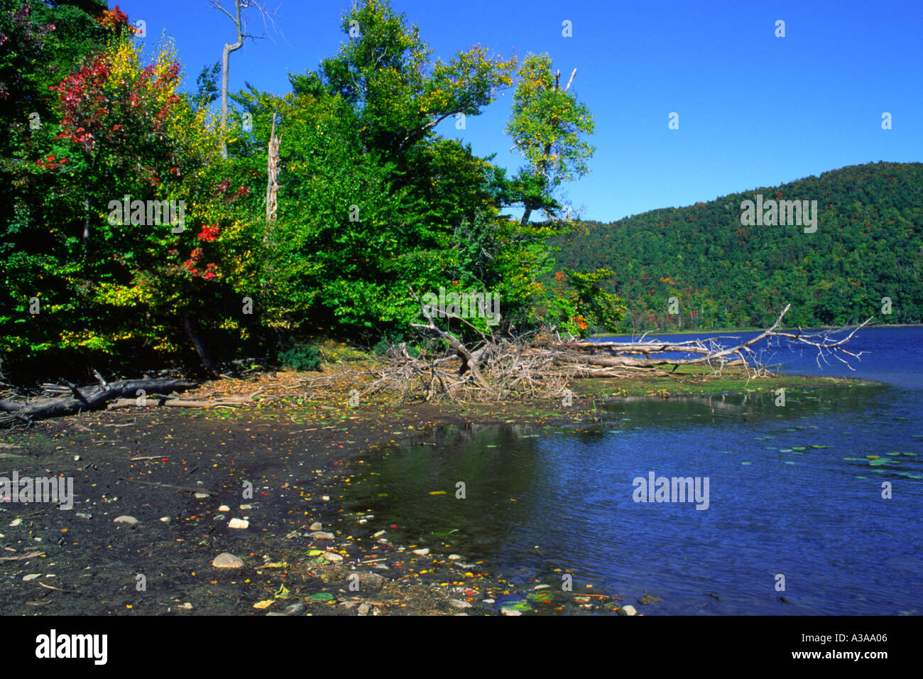 Lake in Quebec Canada Stock Photo - Alamy