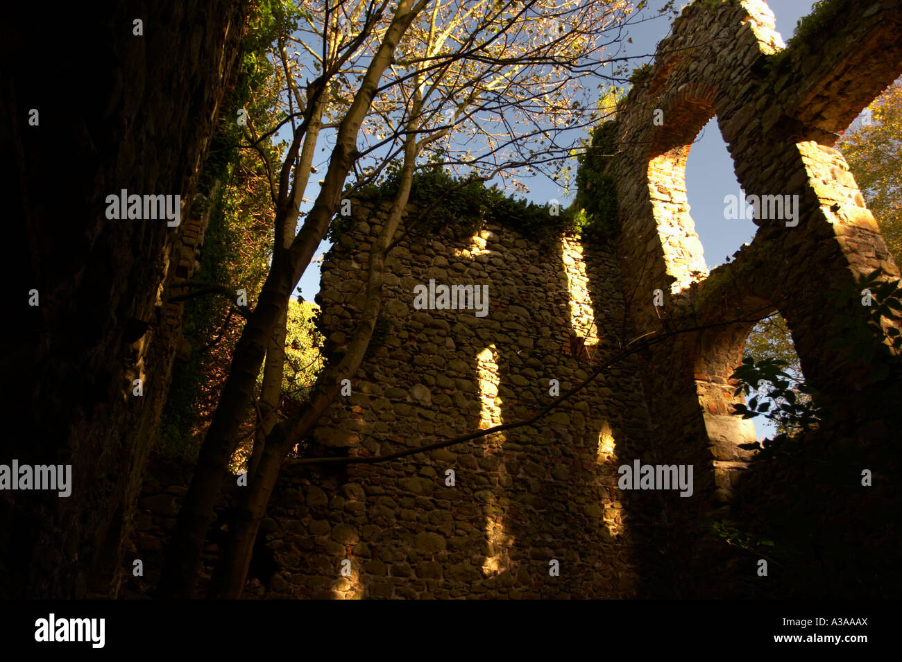 Kilroot High Resolution Stock Photography and Images - Alamy