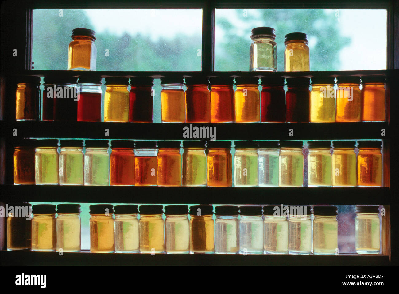Jars of Maple Syrup Lined up in a Window Stock Photo - Alamy