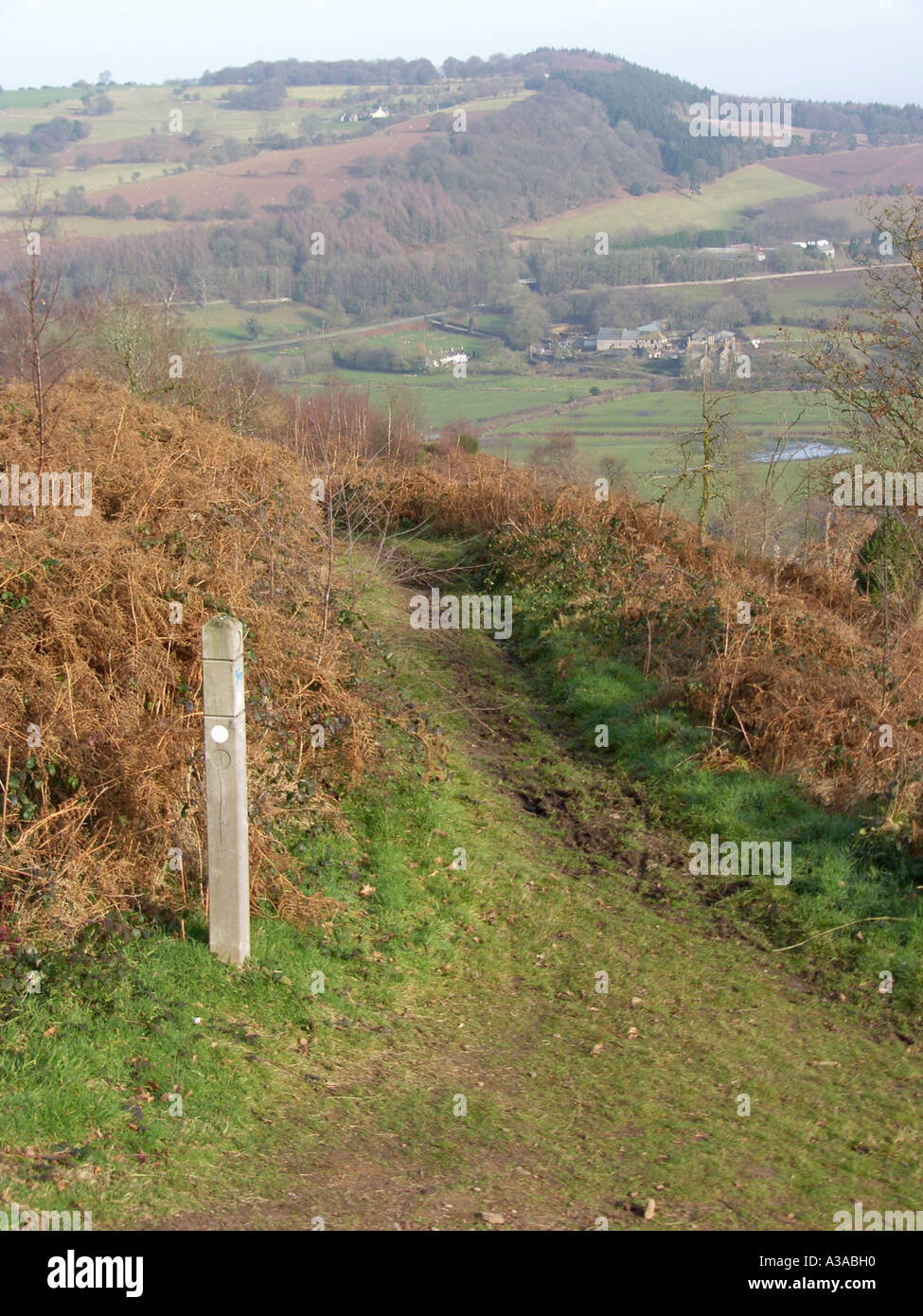 Coed gwent hi-res stock photography and images - Alamy