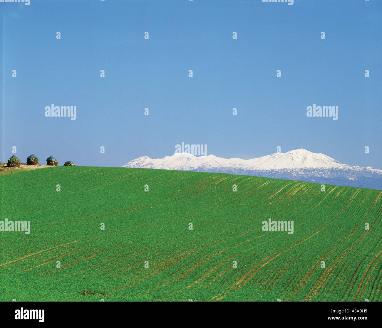 P exterior hi-res stock photography and images - Alamy