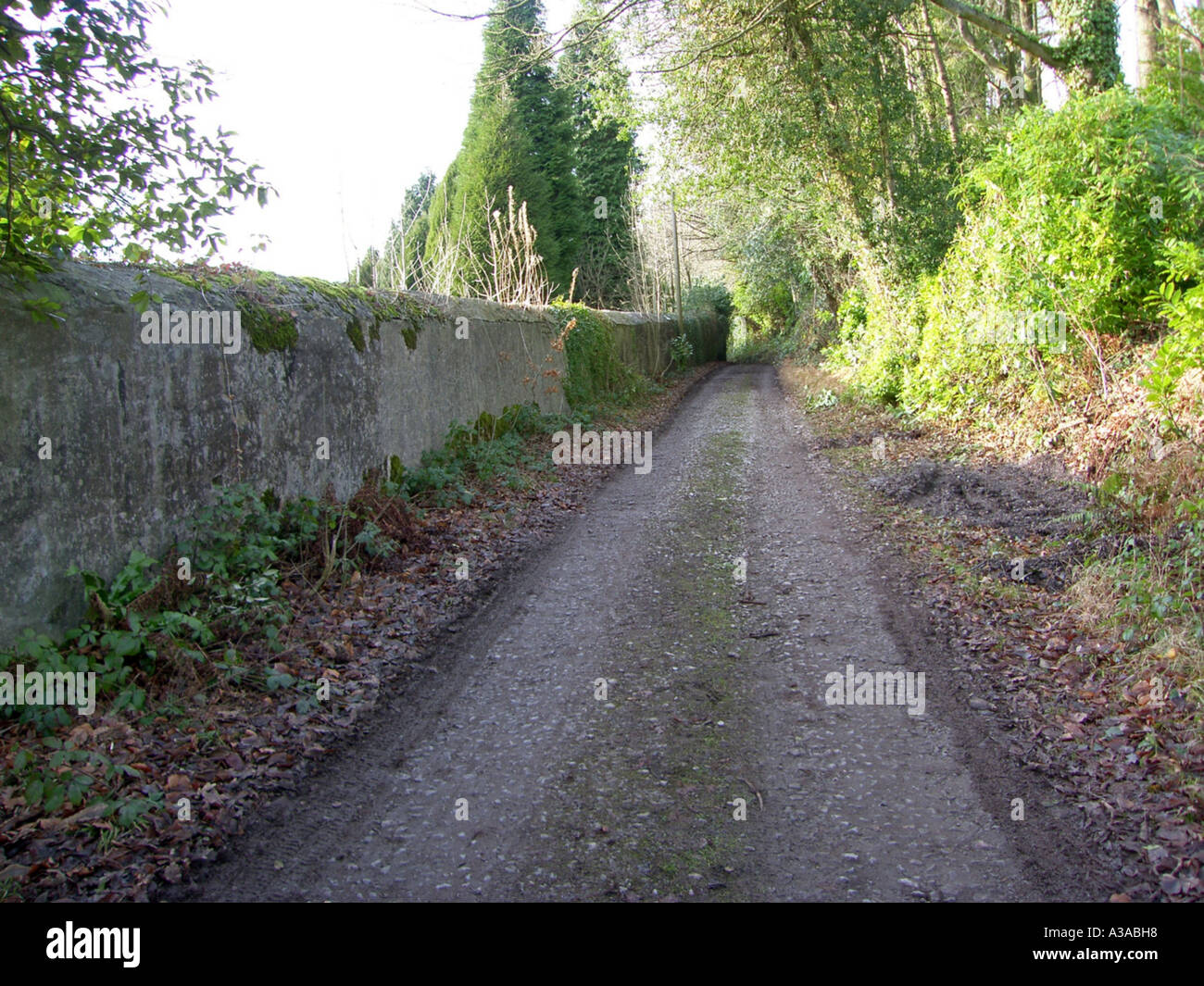 Draethen south wales hi-res stock photography and images - Alamy