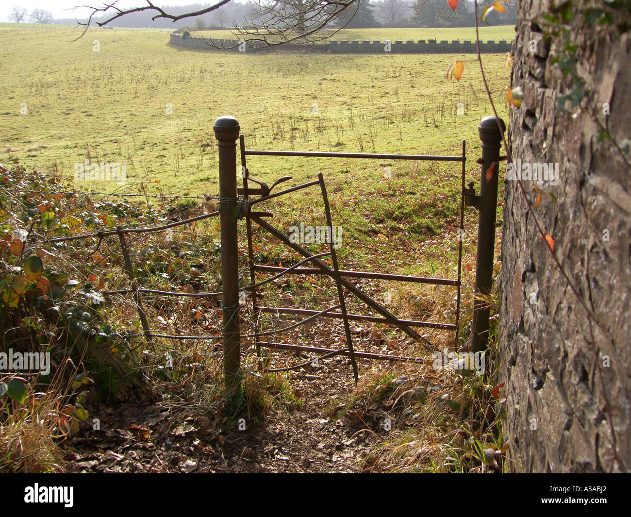 Draethen hi-res stock photography and images - Alamy